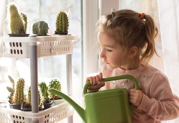 Aprende a cultivar cactus y plantas suculentas en casa