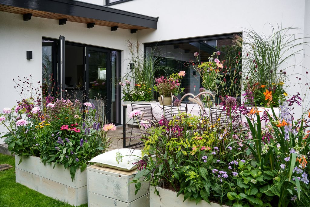 El experto en jardinería Chico Plantas revela las flores que mejor ...