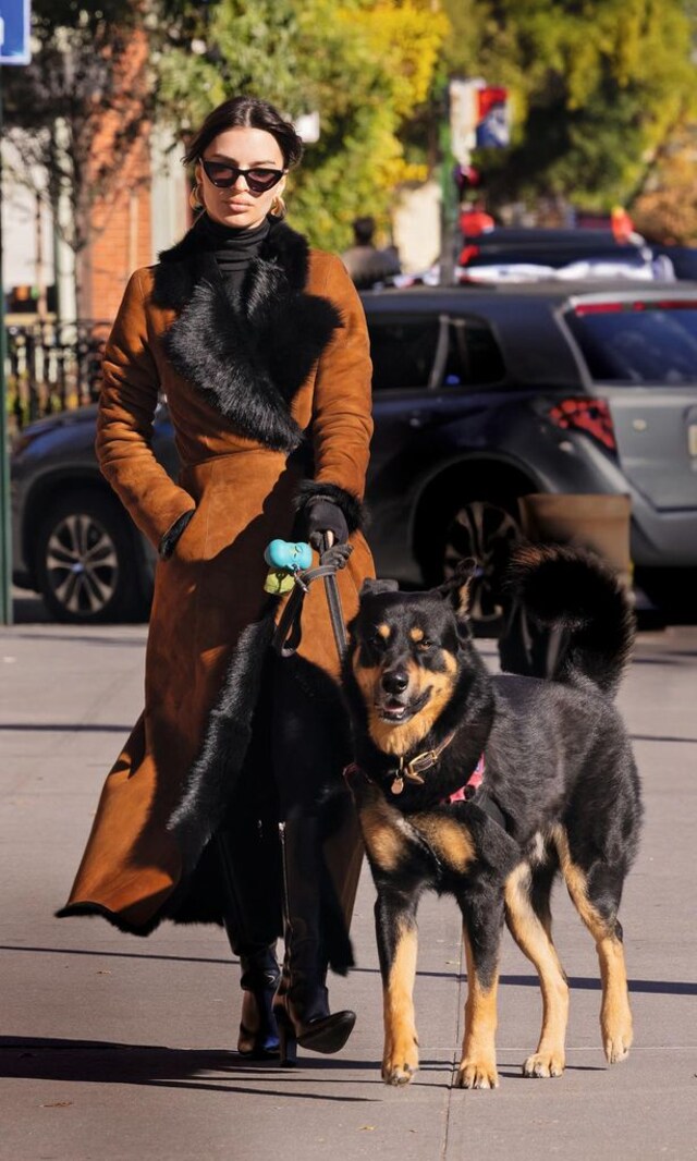 Emily Ratajkowski y Stéphane Bak: paseo por Nueva York