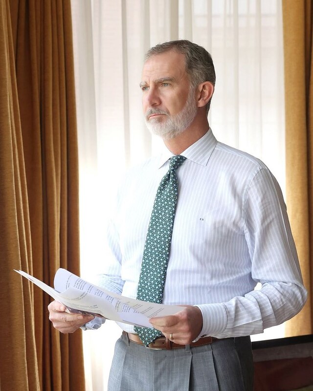 Casa Real elige 20 imágenes que resumen el año del rey Felipe