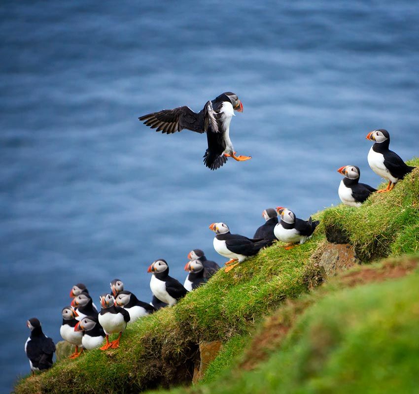 Islas Feroe, naturaleza salvaje en un lugar diferente