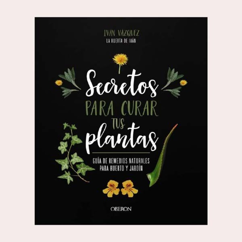 Los 10 mejores libros sobre plantas
