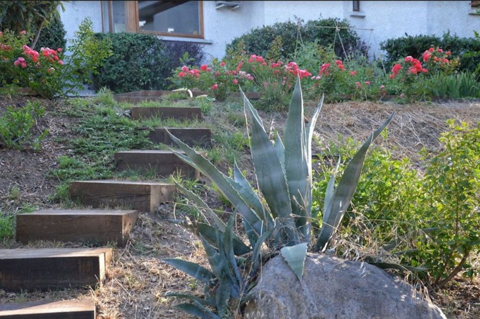 Cómo diseñar un jardín seco para olvidarte de tener que regar