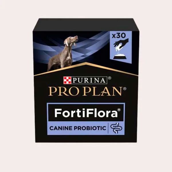 Los 6 mejores probióticos para perros recomendados por expertos