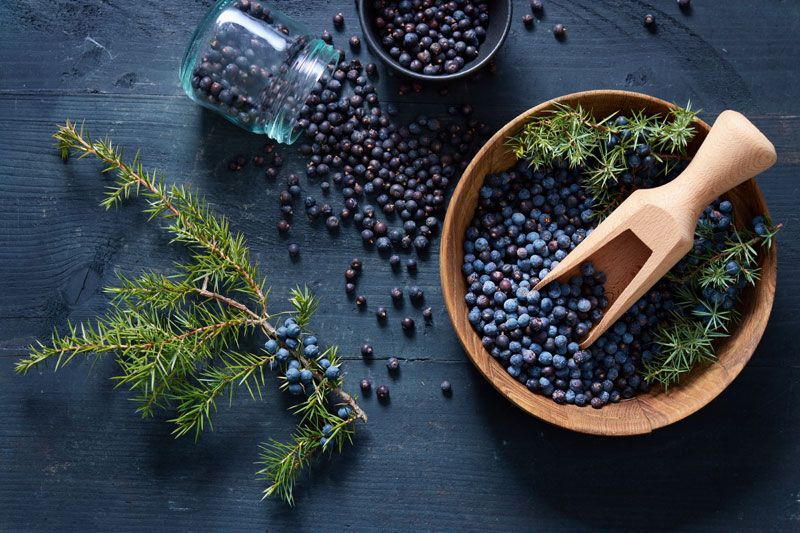 7 plantas medicinales diuréticas para combatir la retención líquidos