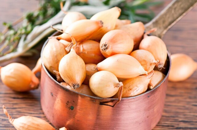 Chalota: qué es y en qué recetas utilizarla