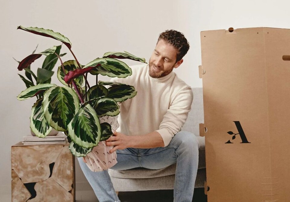 La experta en plantas Natalia Sáez revela sus trucos infalibles para ...