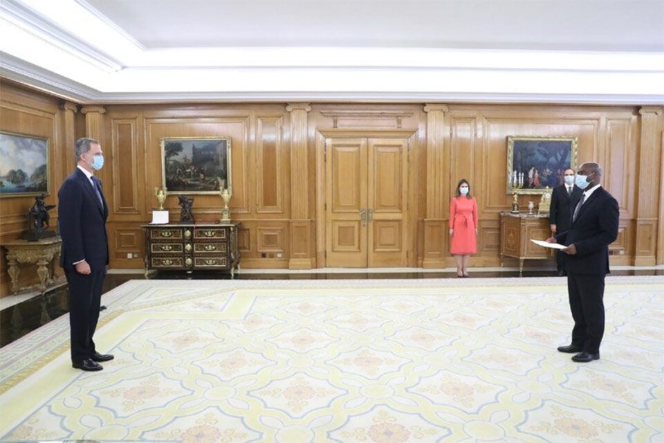 El Rey recibe a los nuevos embajadores en un escenario atípico