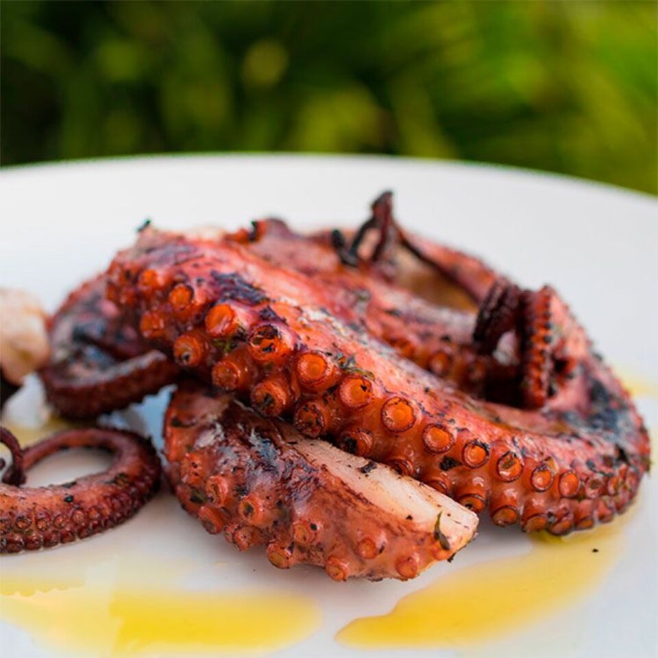 Las 22 mejores recetas con pulpo