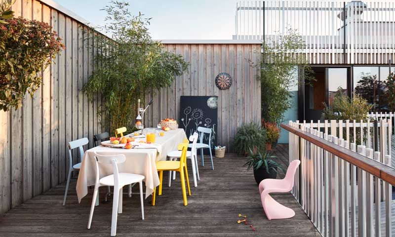10 árboles en maceta para tener en la terraza o el balcón