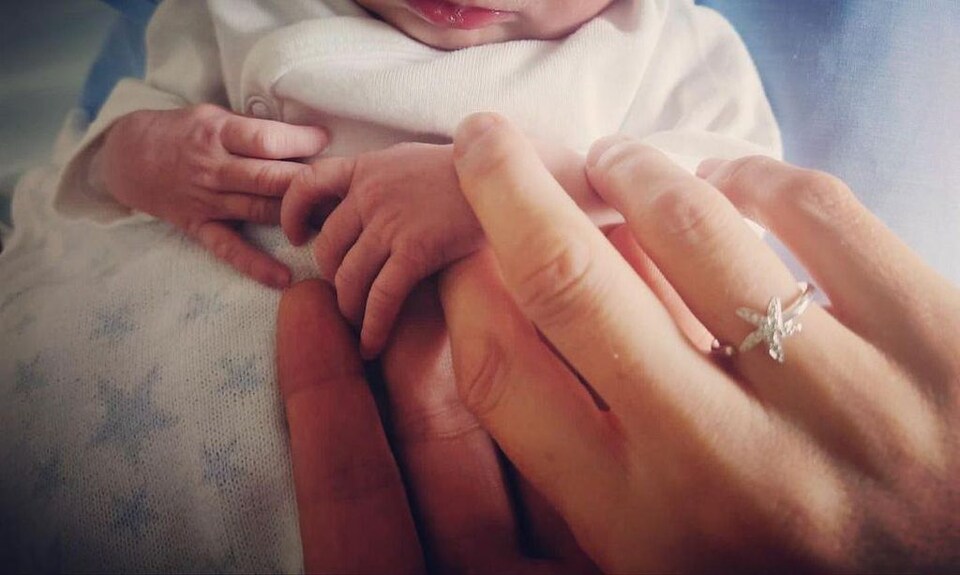 ¿Qué significa el nombre de Jara?