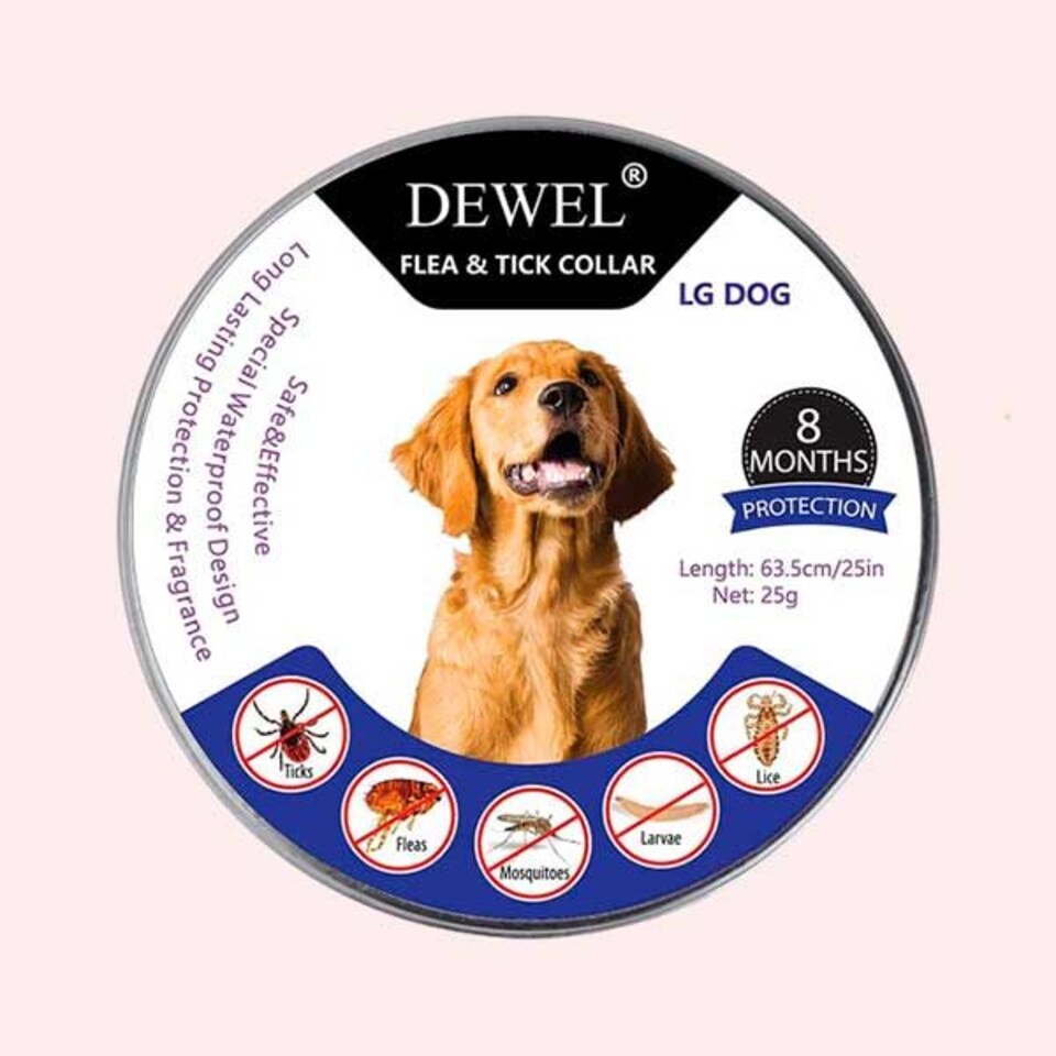 Guía para elegir el mejor collar antiparasitario para perros