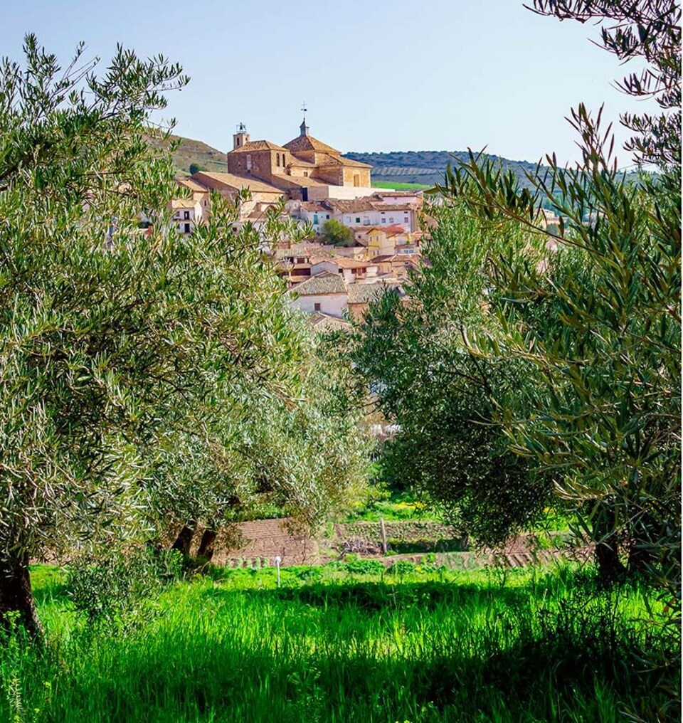El embalse de Bolarque o la Costa Brava de Guadalajara