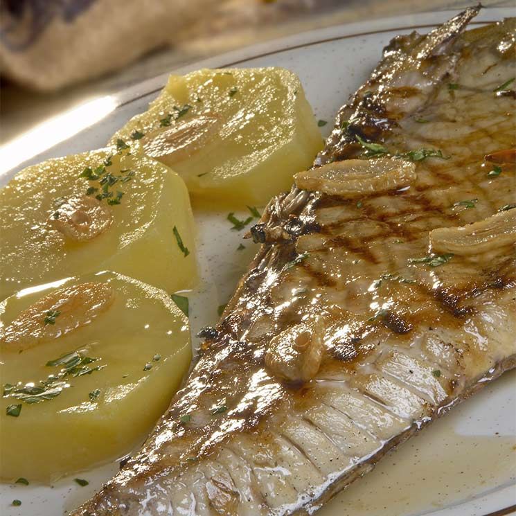 Te contamos todo sobre la ventresca, la parte más codiciada de los pescados