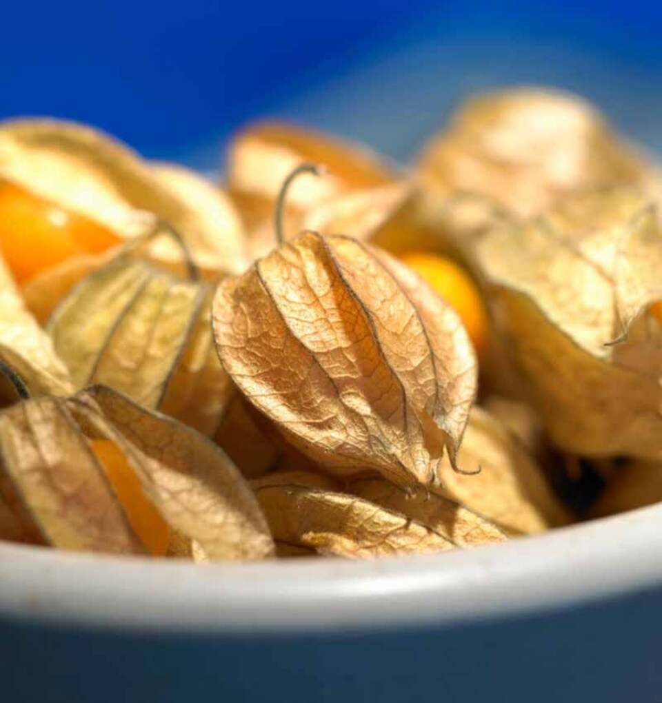 Qué es el physalis, sus propiedades y algunas recetas