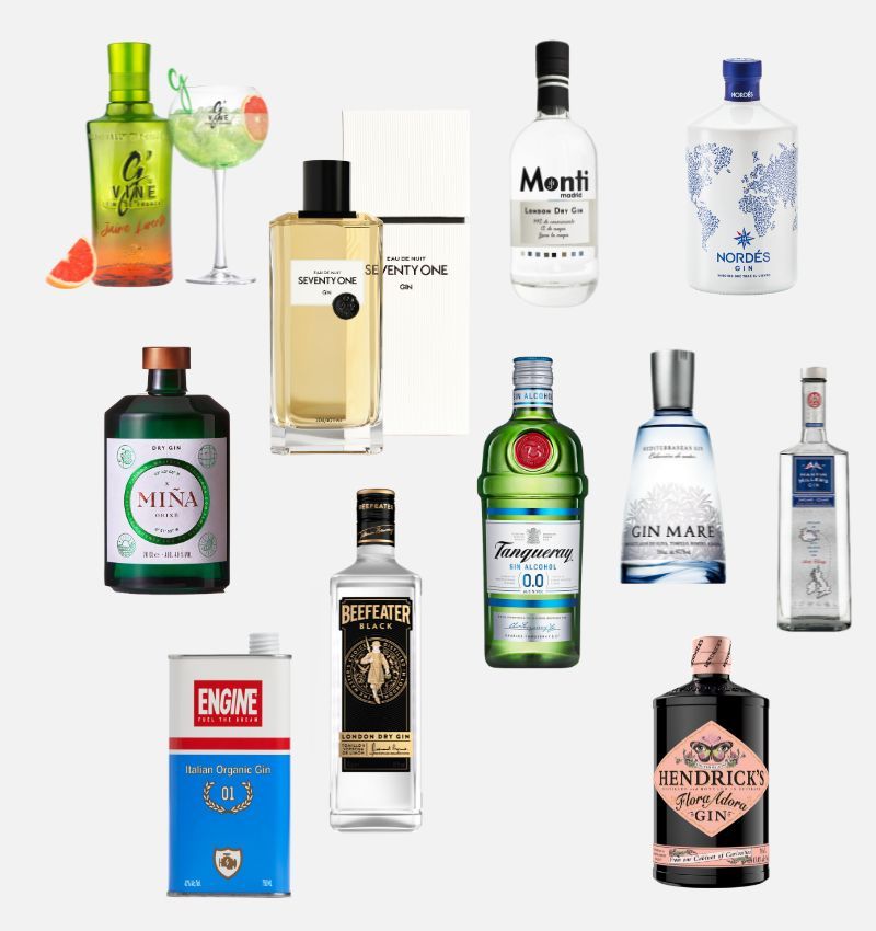 Las mejores ginebras para hacer el gin tonic perfecto