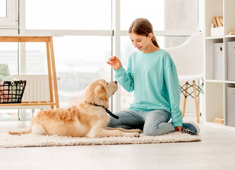 Esta es la razón por la que tu perro te mira fijamente a los ojos