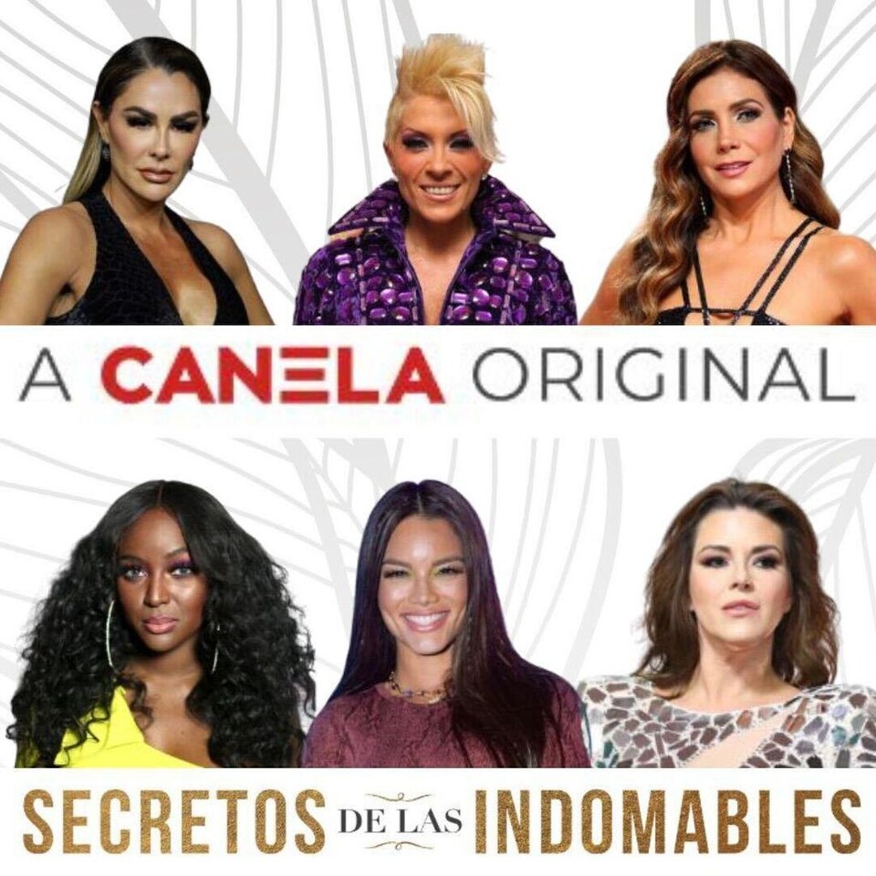 Canela.TV presenta al elenco del reality 'Secretos de las Indomables' | ¡HOLA!