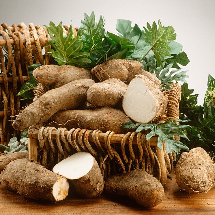 Tupinambo, yuca, boniato, apionabo... 11 tubérculos para tus recetas ...