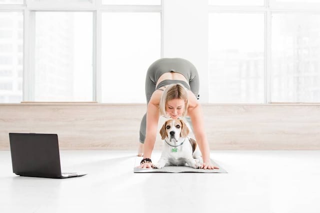 Variantes y beneficios de la postura de yoga del perro