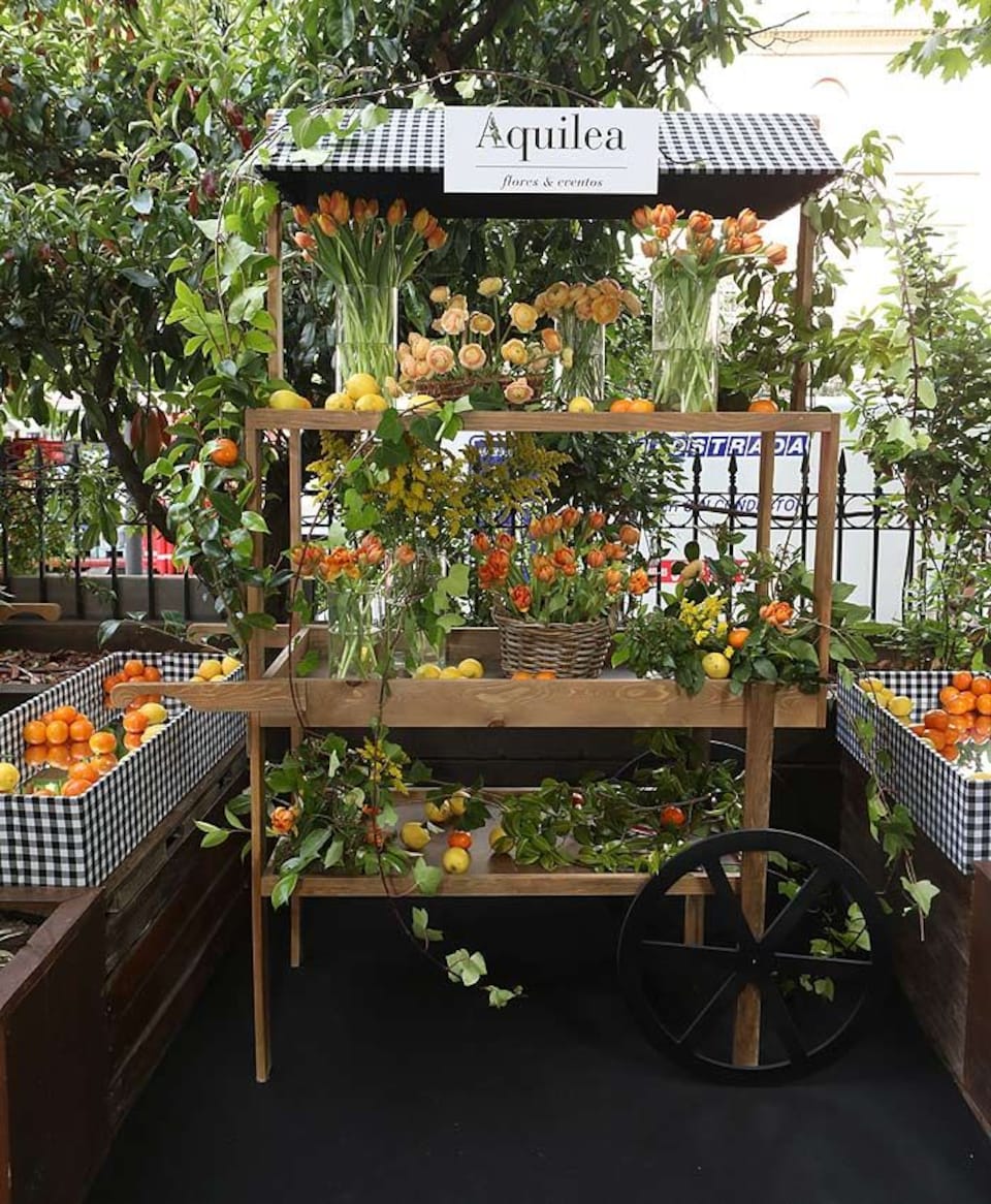 Bienvenido al Living day, el universo de la revista ¡HOLA! Living cobra ...