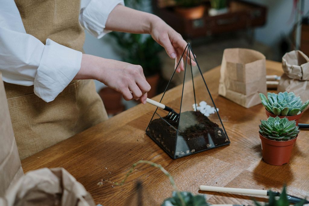 Aprende A Crear Un Terrario Paso A Paso Y Llena De Vida Tu Casa