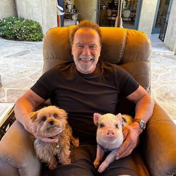 De Terminator a Santa Claus: así luce Arnold Schwarzenegger para su ...