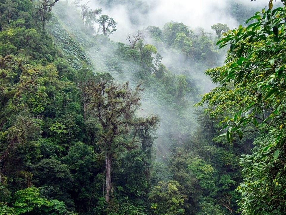 Motivos para viajar a Costa Rica, el país más sostenible