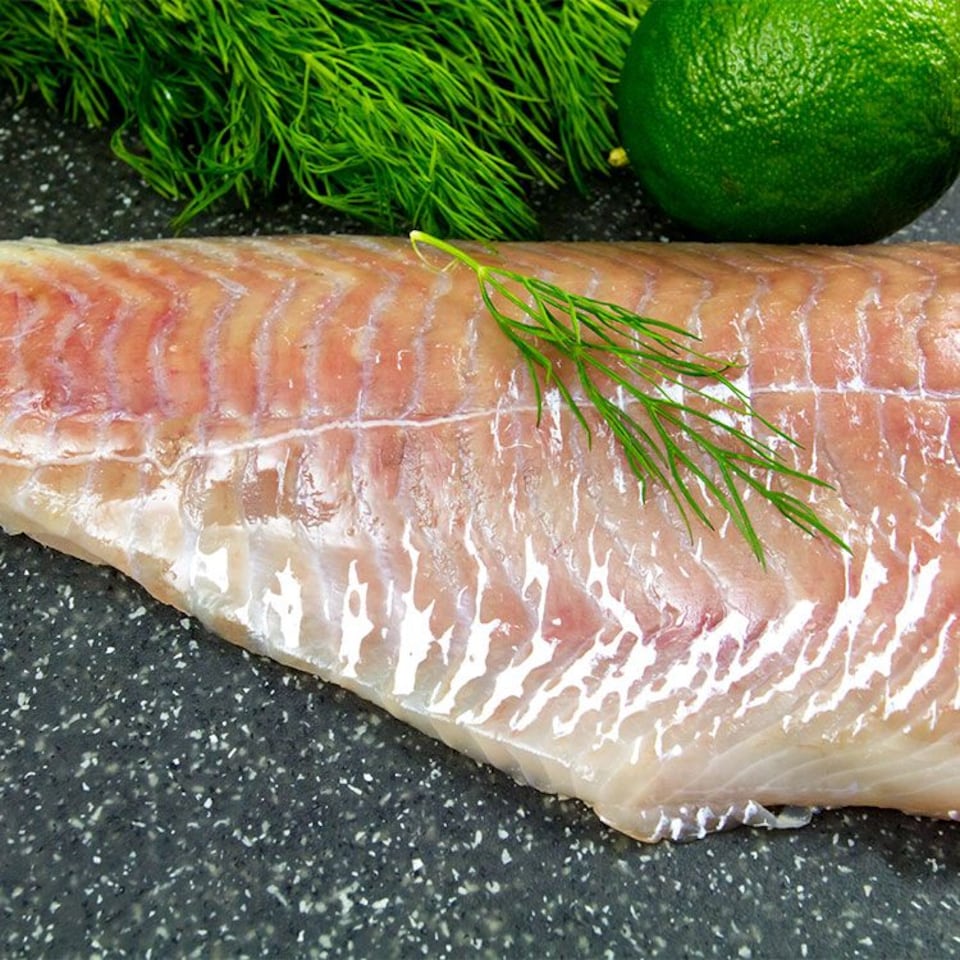 Fogonero noruego, descubre este pescado de la familia del bacalao que ...