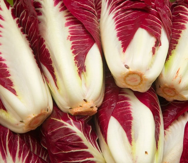 ¿Sabes exactamente qué es la achicoria, cuáles son sus variedades y ...