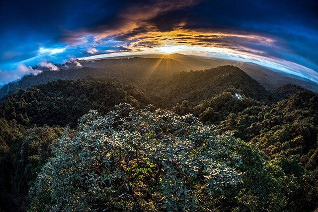 El bosque de Ecuador que se descubre en bici por la copa de los árboles