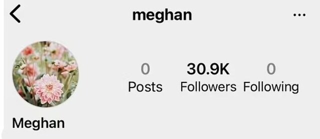 Meghan Markle regresa a Instagram y comparte un video filmado por el ...