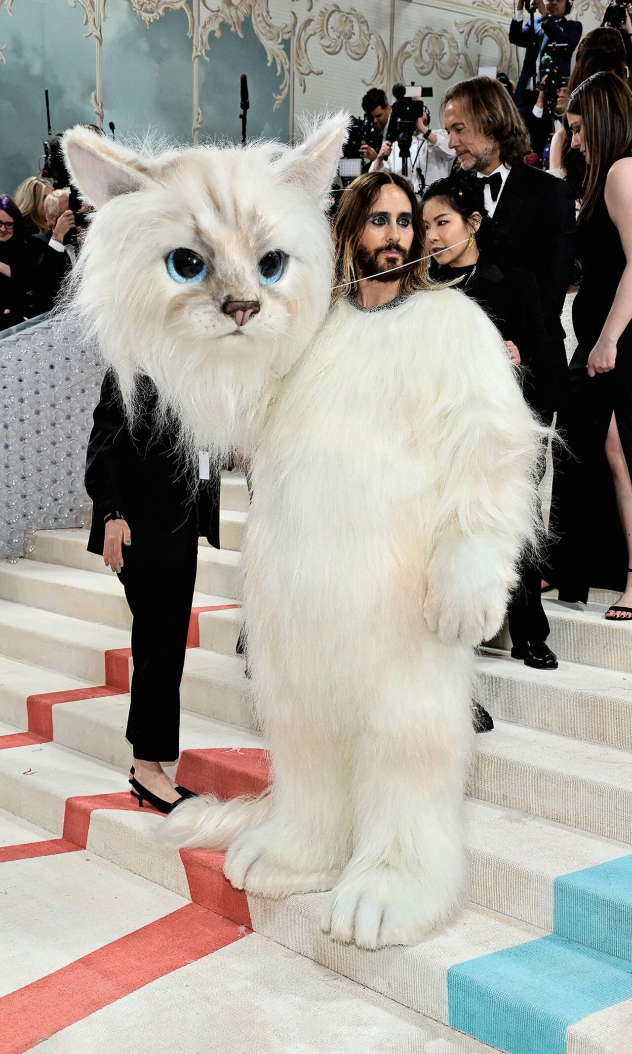 Cita con Choupette, la gata de Karl Lagerfeld que fue estrella de la ...