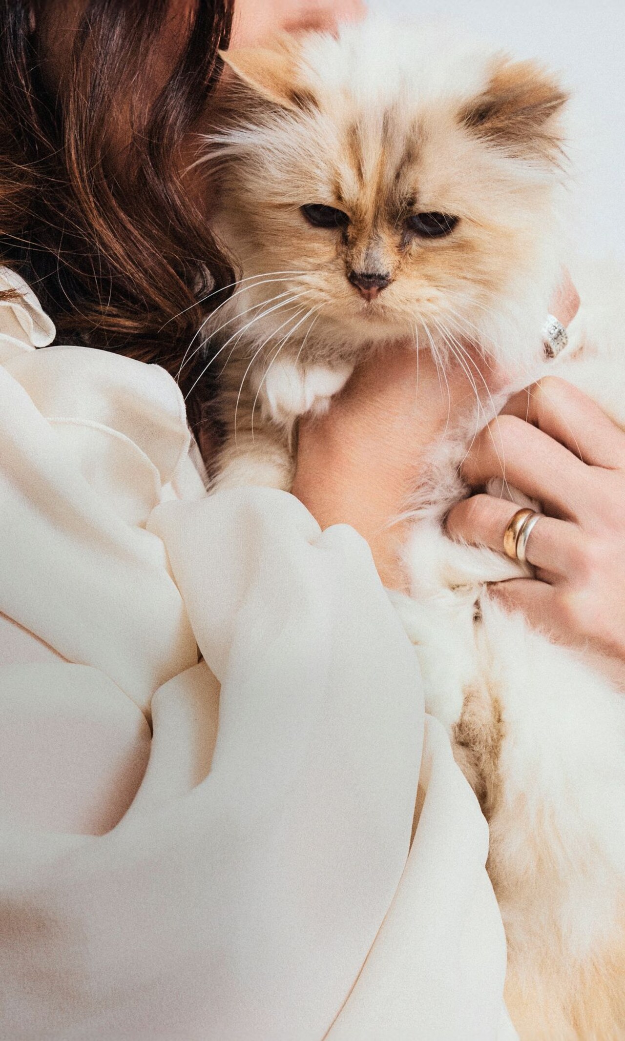 Cita con Choupette, la gata de Karl Lagerfeld que fue estrella de la ...