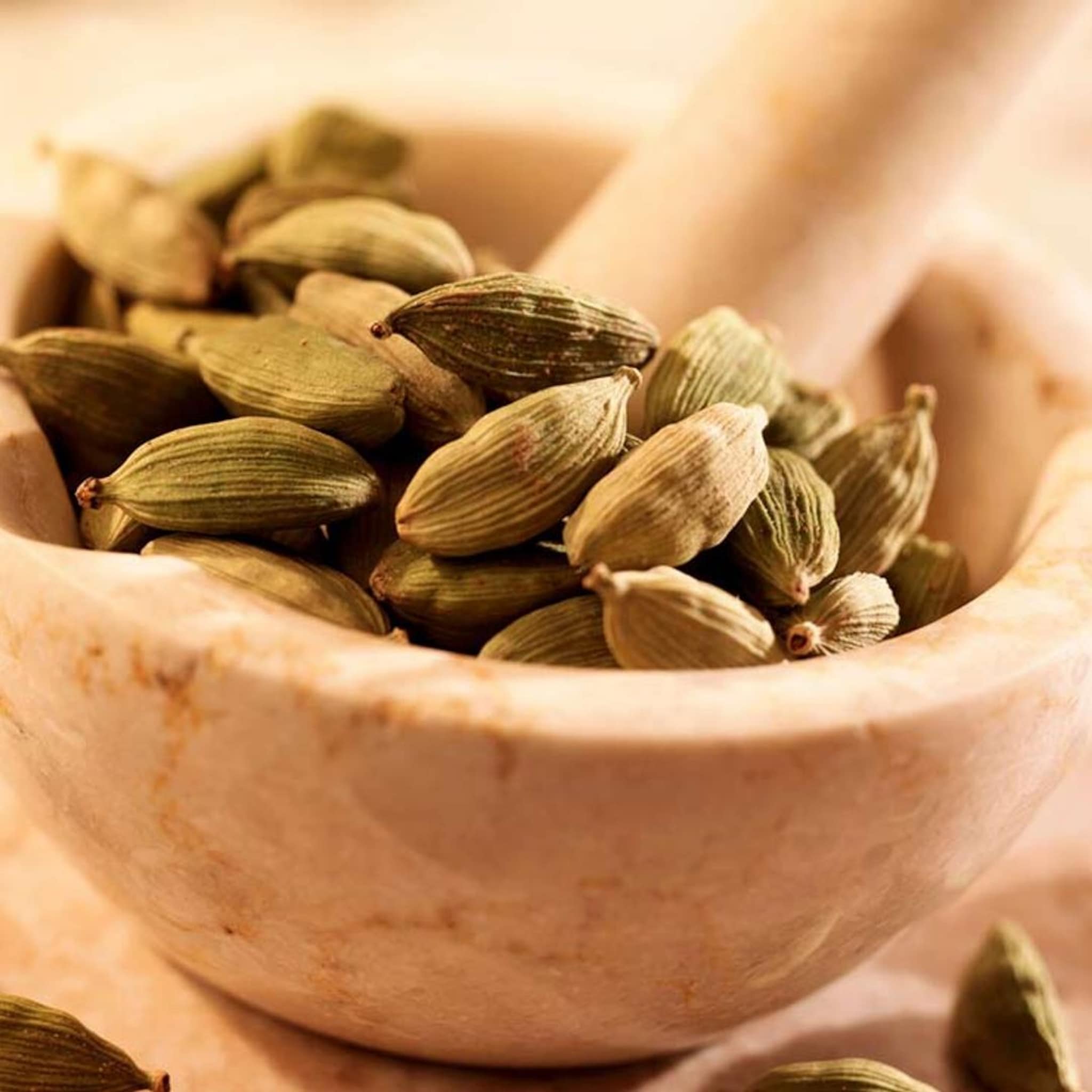 El cardamomo, la semilla que nació en la selva tropical