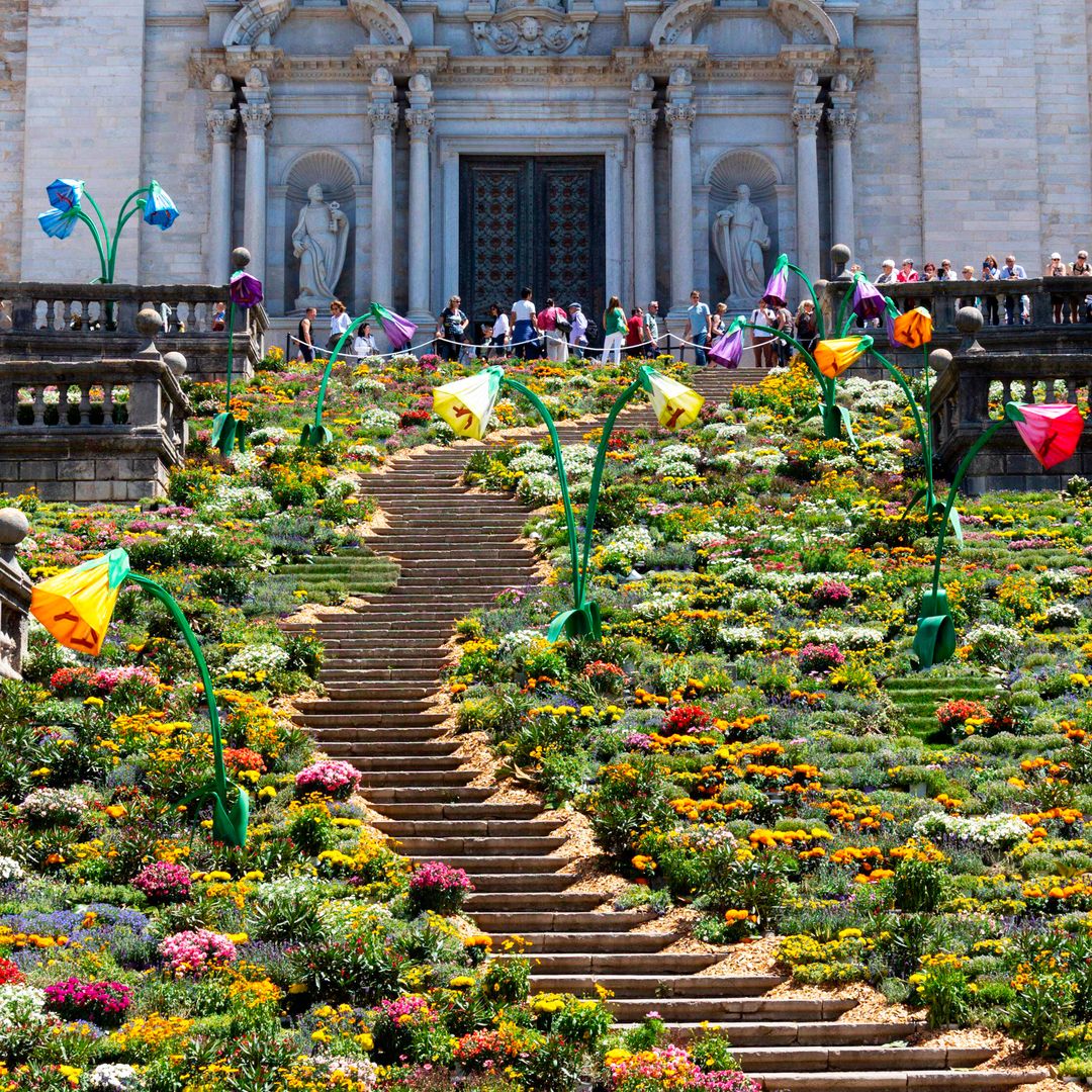 Temps de Flors 2025: el festival de flores que llena Girona de aroma y ...