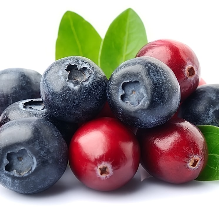 Alimentos ‘healthy’: ¿Sabes en qué se diferencian los arándanos rojos y ...