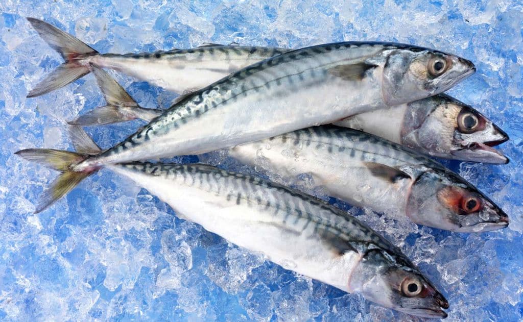 10 recetas con pescados azules, sabor y salud en cada bocado