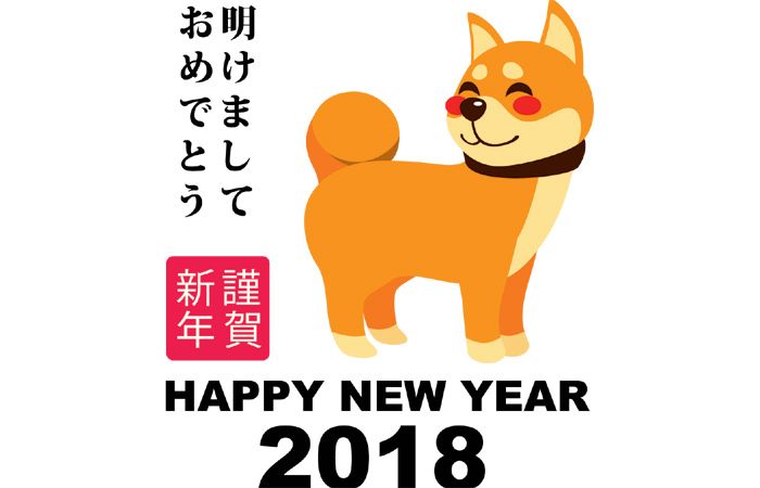 9 buenos consejos para un año (muy) perro