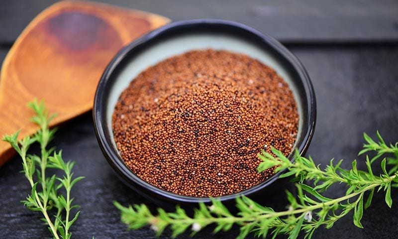 Descubre la kañiwa, el alimento del futuro