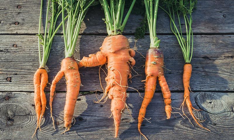 Comer frutas y hortalizas feas es mejor de lo que imaginas