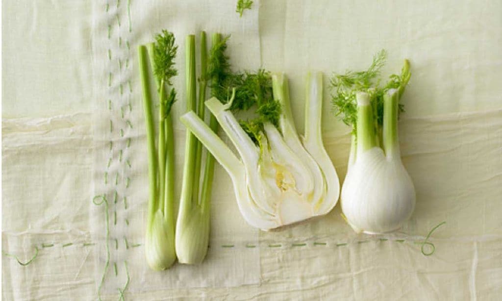 El hinojo, una planta medicinal con múltiples propiedades