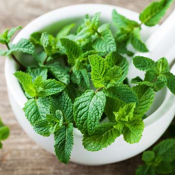 Todas las propiedades de la menta como remedio casero - Foto 1