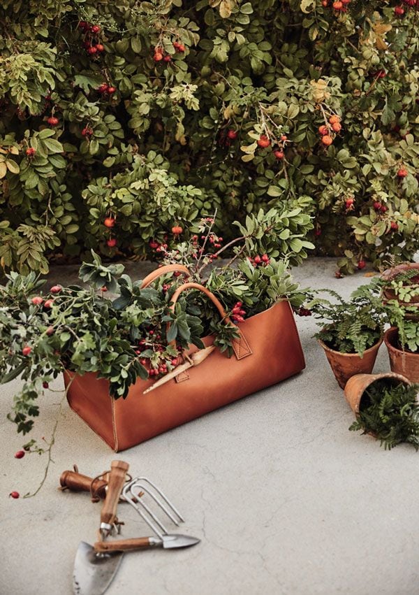 Las claves para cuidar tus macetas de Clara Matossian Falcó