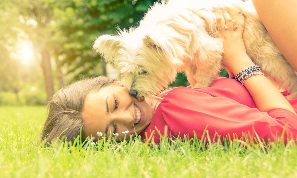 ¿Por qué mi perro tiene la manía de montarme o montar a otros perros?
