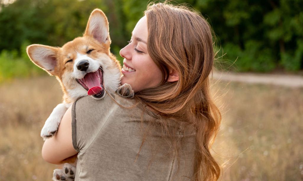 Mascotas: últimas noticias e imágenes - Revista ¡HOLA!