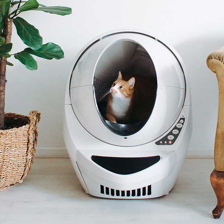 Los 4 mejores areneros autolimpiables