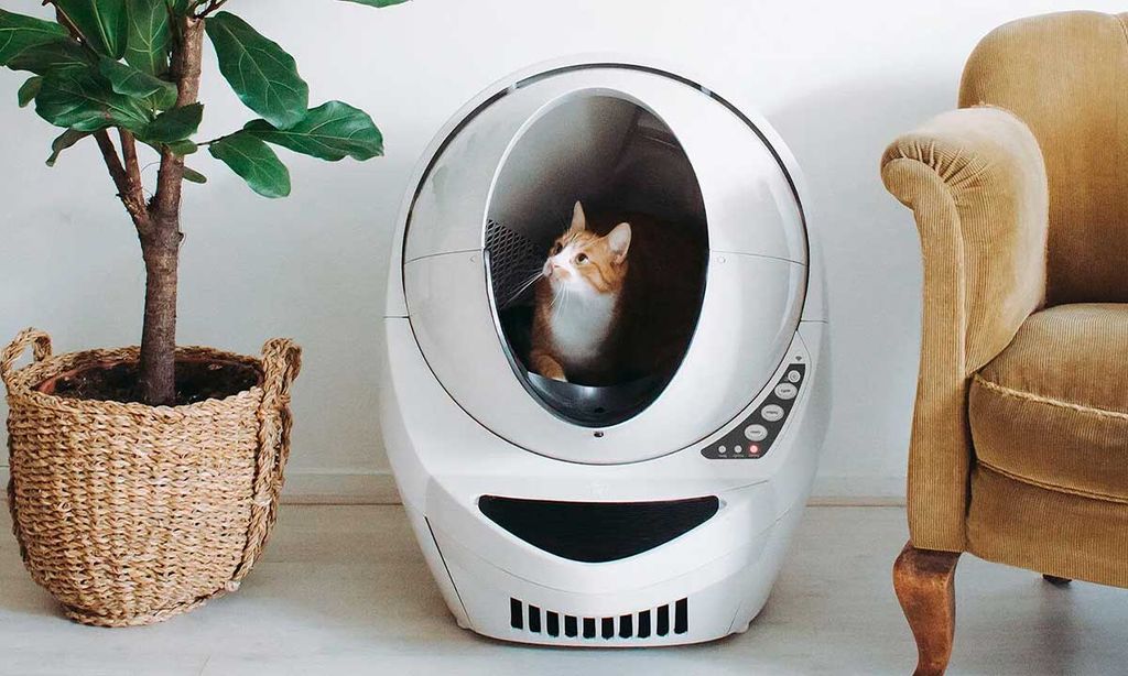 Los 4 mejores areneros autolimpiables