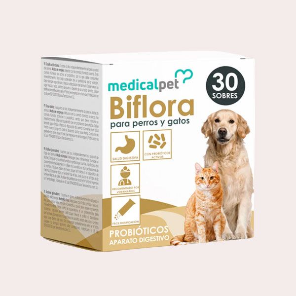 Los 6 mejores probióticos para perros