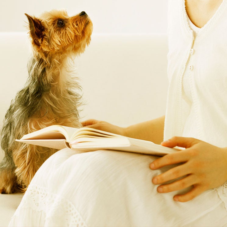 Si amas a tu perro, amarás estos libros imprescindibles